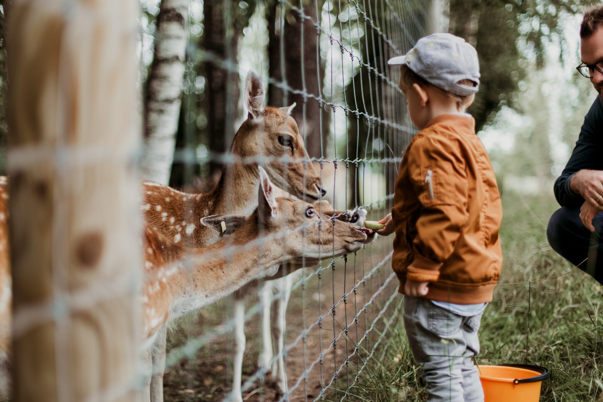 Come riconoscere uno zoo etico - Koroo Magazine